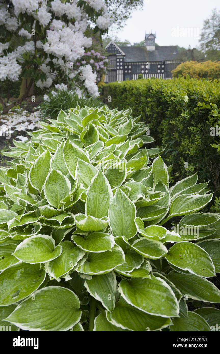 The gardens in the spring at Rufford Old Hall, Lancashire. Rufford Old ...
