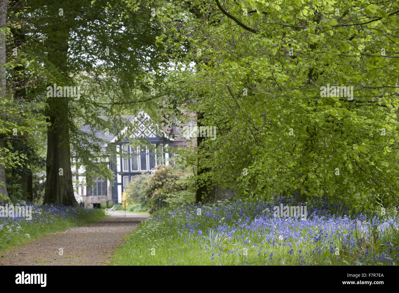 The gardens in the spring at Rufford Old Hall, Lancashire. Rufford Old ...