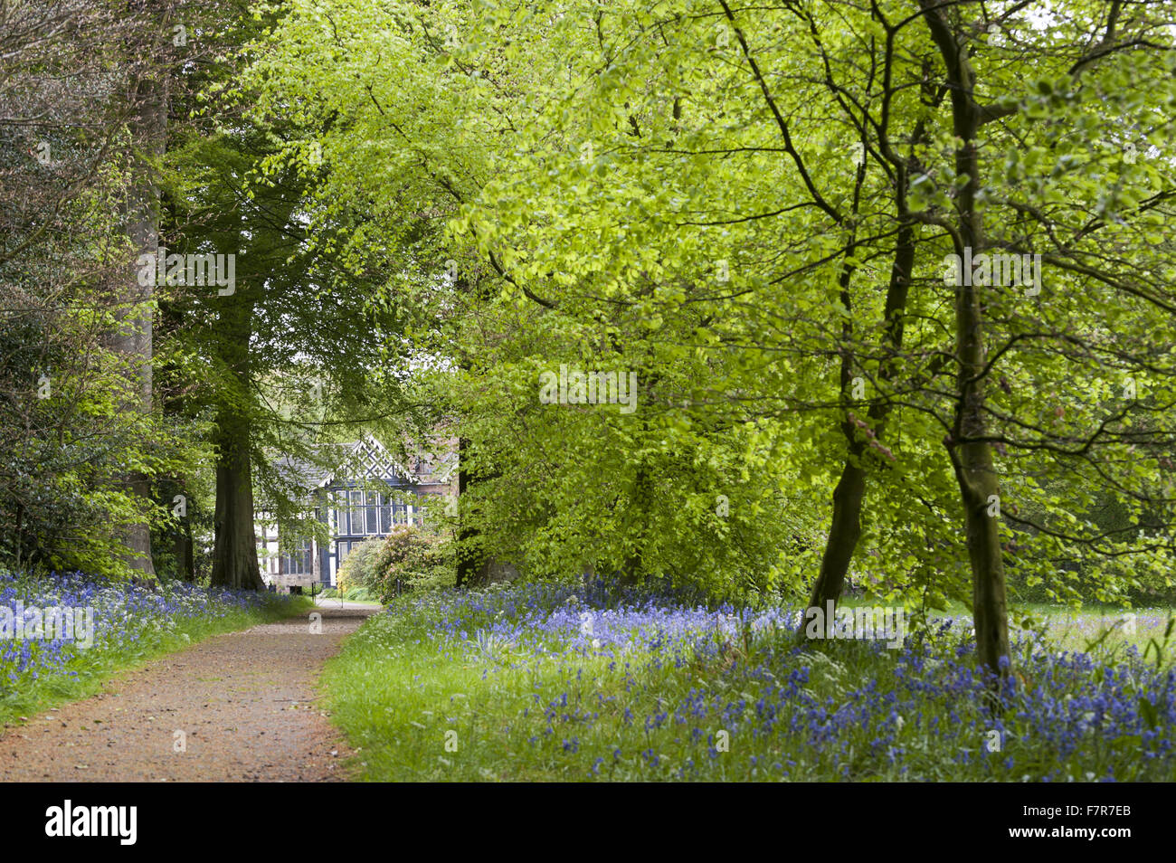 The gardens in the spring at Rufford Old Hall, Lancashire. Rufford Old ...