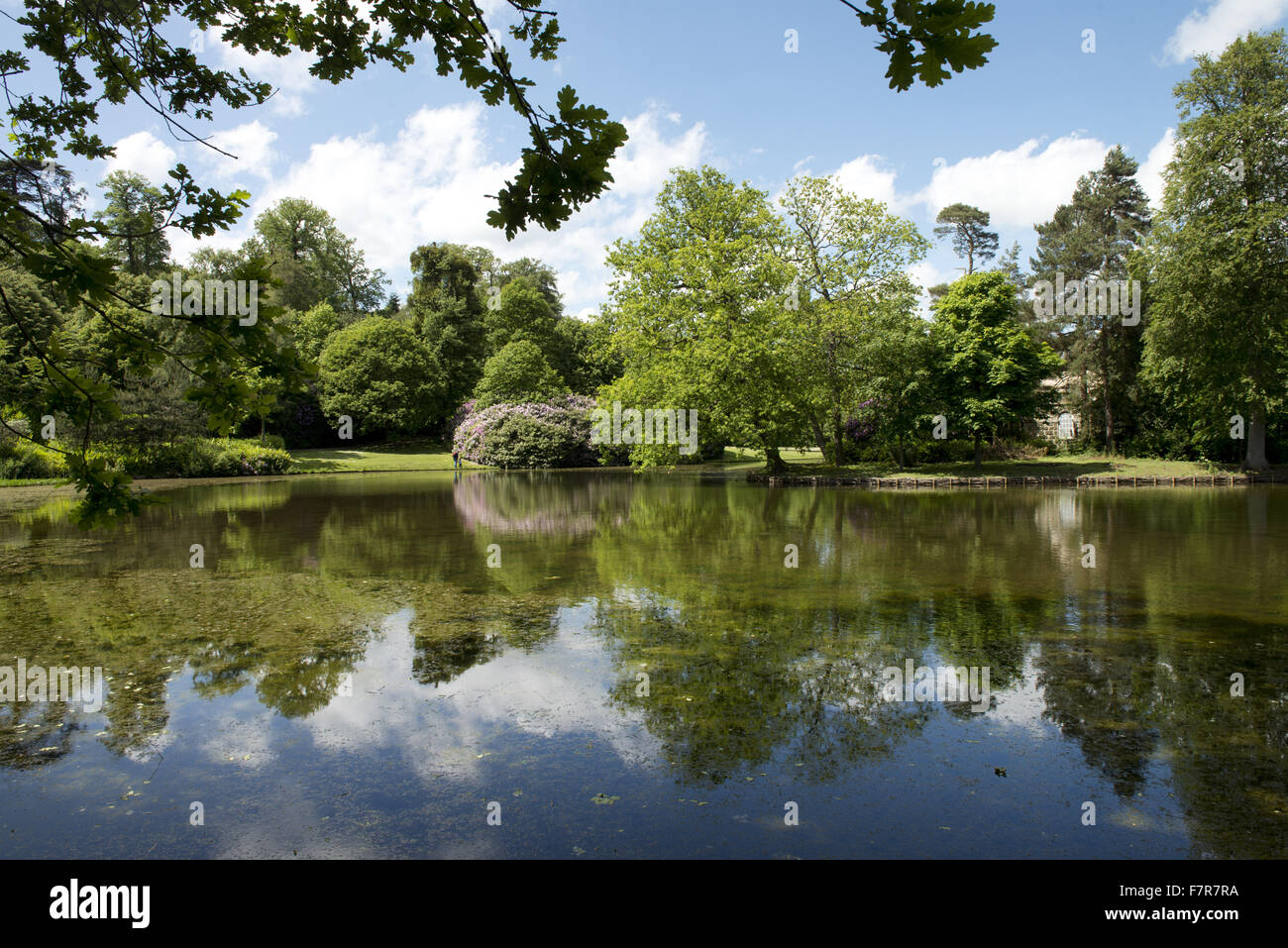 Claremont surrey hi-res stock photography and images - Alamy