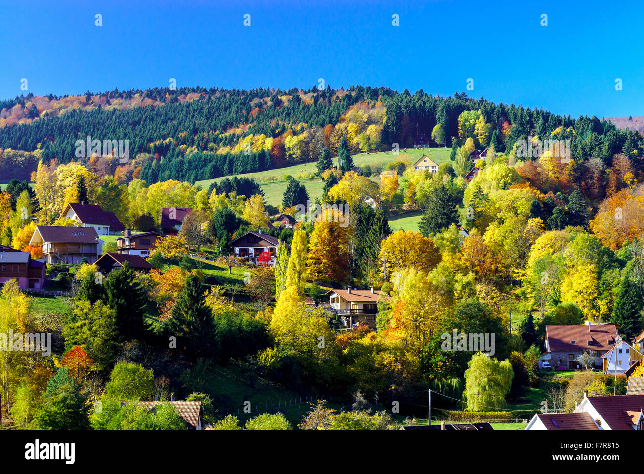 Beautiful colorful autumnal landscape of alsacien hills , France Stock ...