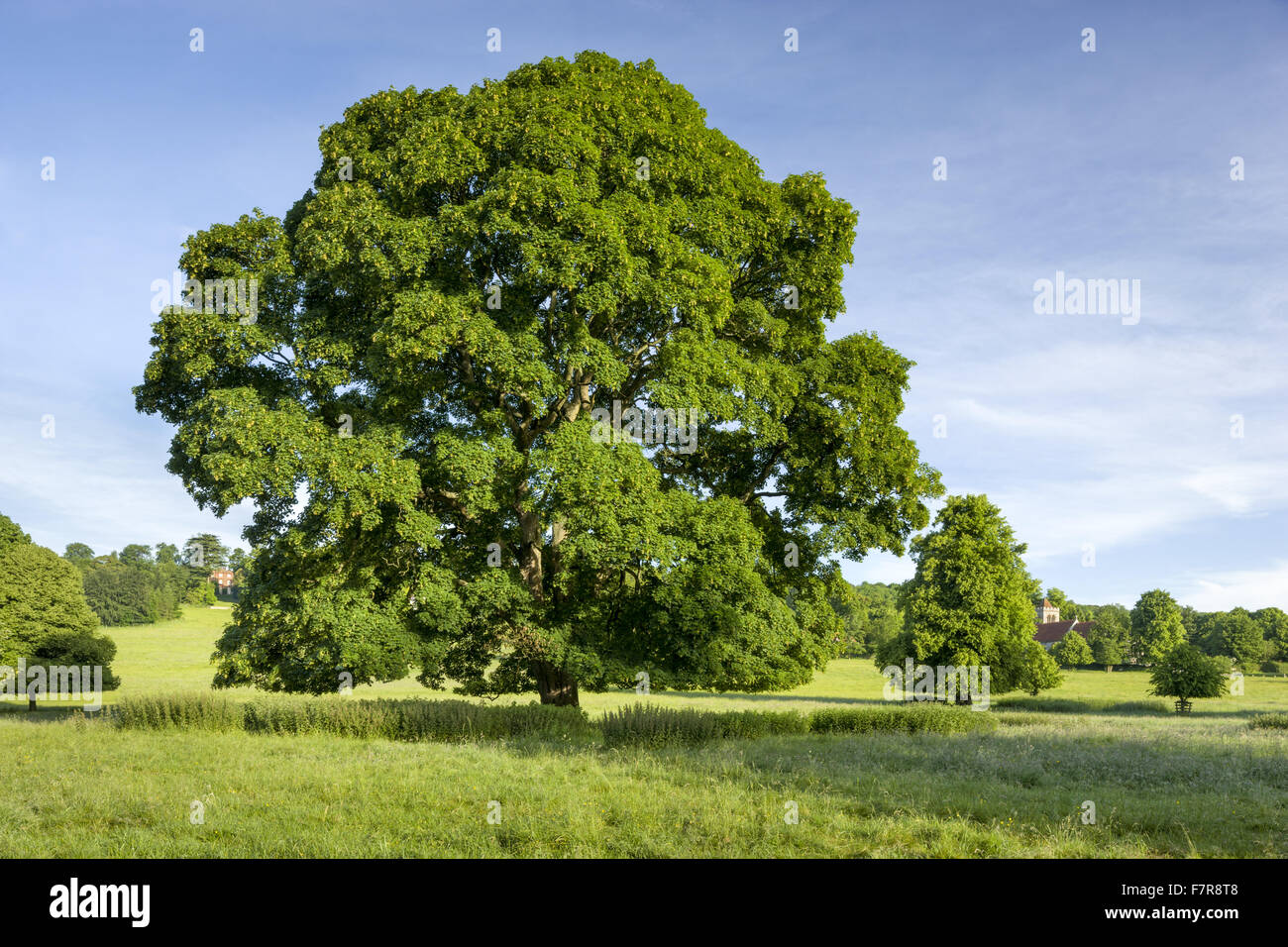 Benjamin church hi-res stock photography and images - Alamy
