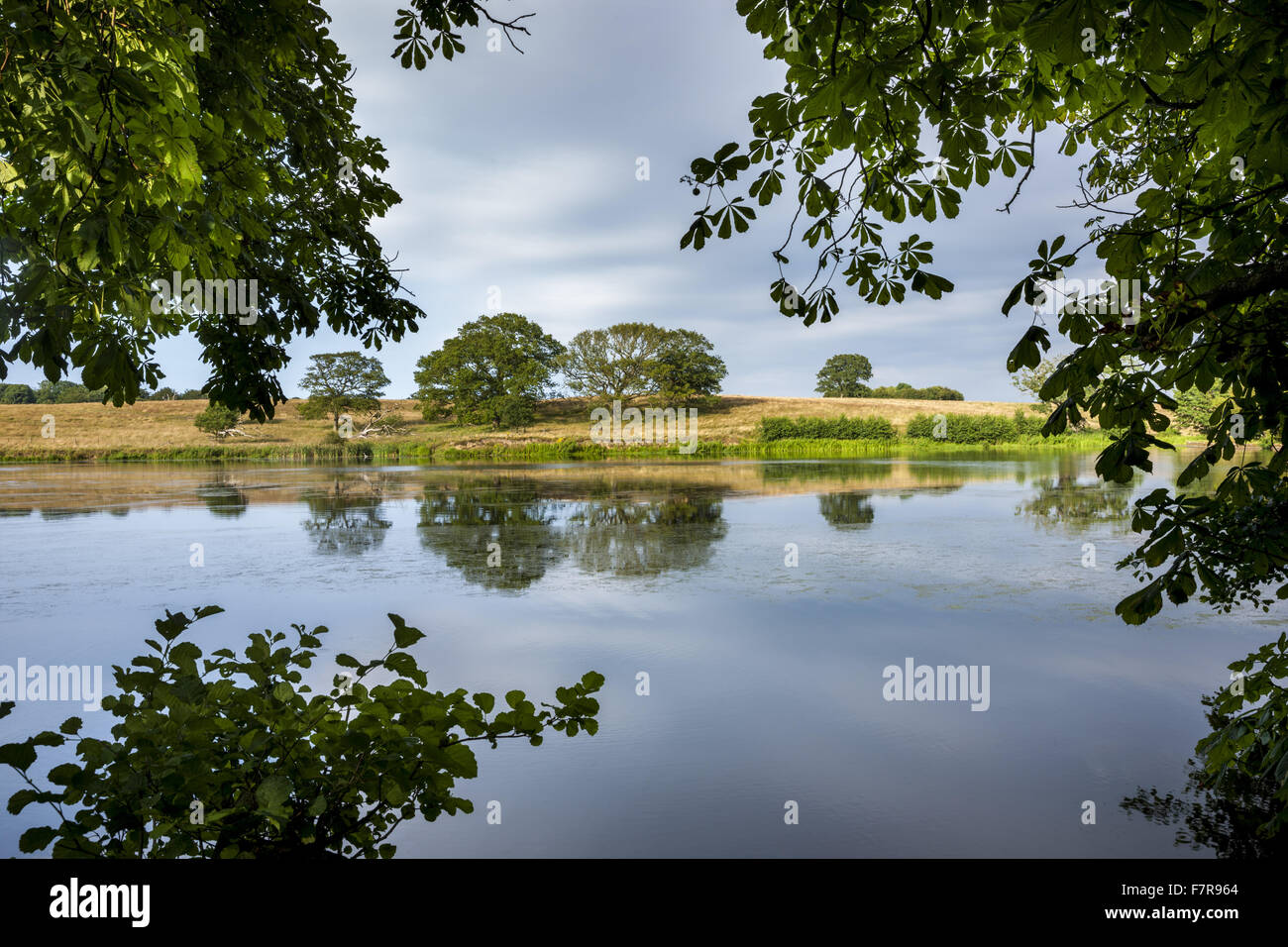 Felbrigg lake hi-res stock photography and images - Alamy
