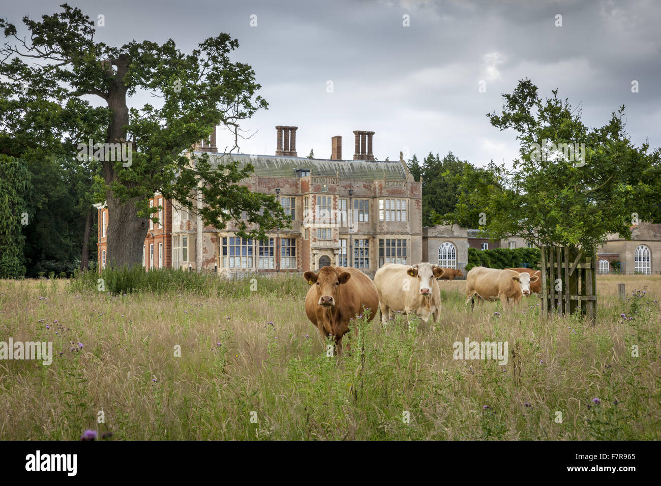 Felbrigg hall hi-res stock photography and images - Alamy