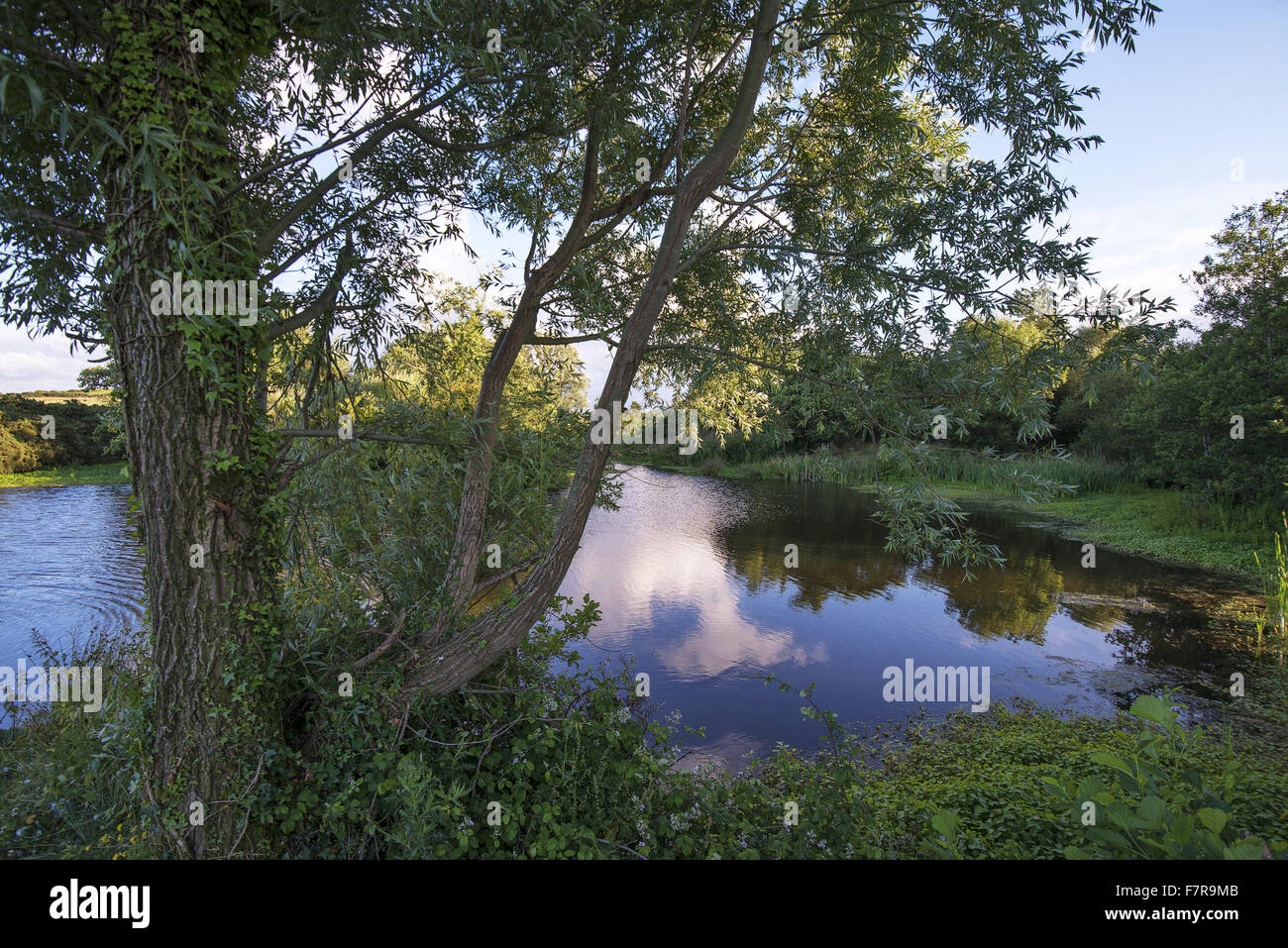 Clay pits hi-res stock photography and images - Alamy