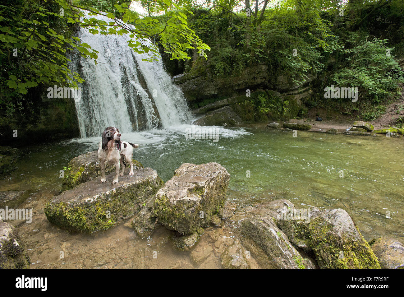 Selection015 hi-res stock photography and images - Alamy