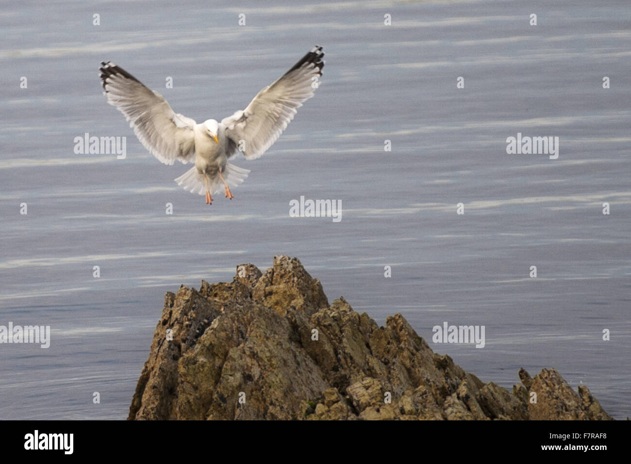 Orlock point hi-res stock photography and images - Alamy