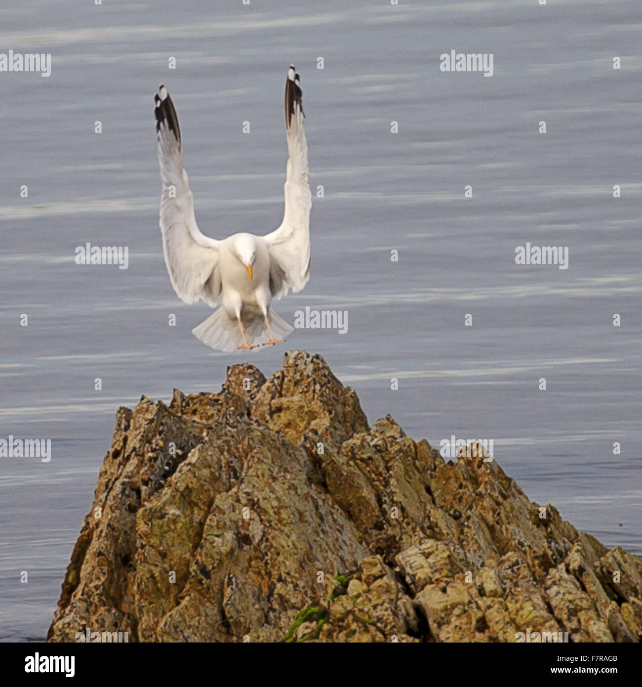 Orlock point hi-res stock photography and images - Alamy