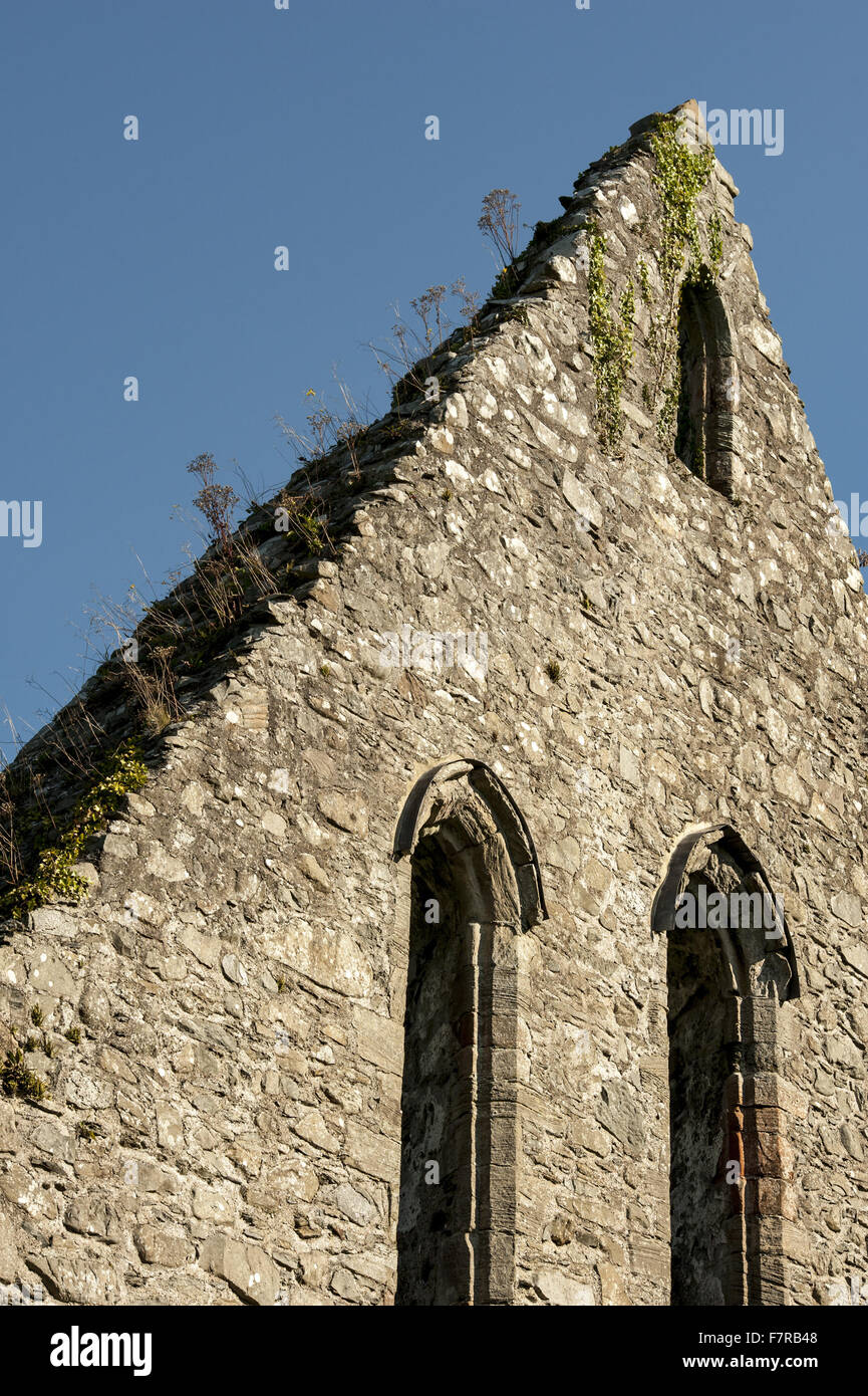 Greyabbey abbey hi-res stock photography and images - Alamy