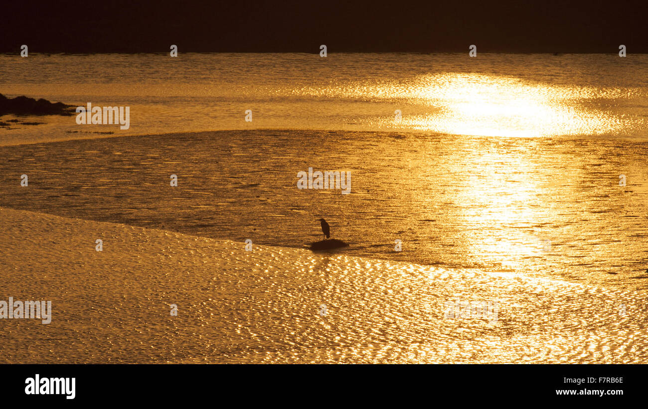 Gibb's island, ireland hi-res stock photography and images - Alamy