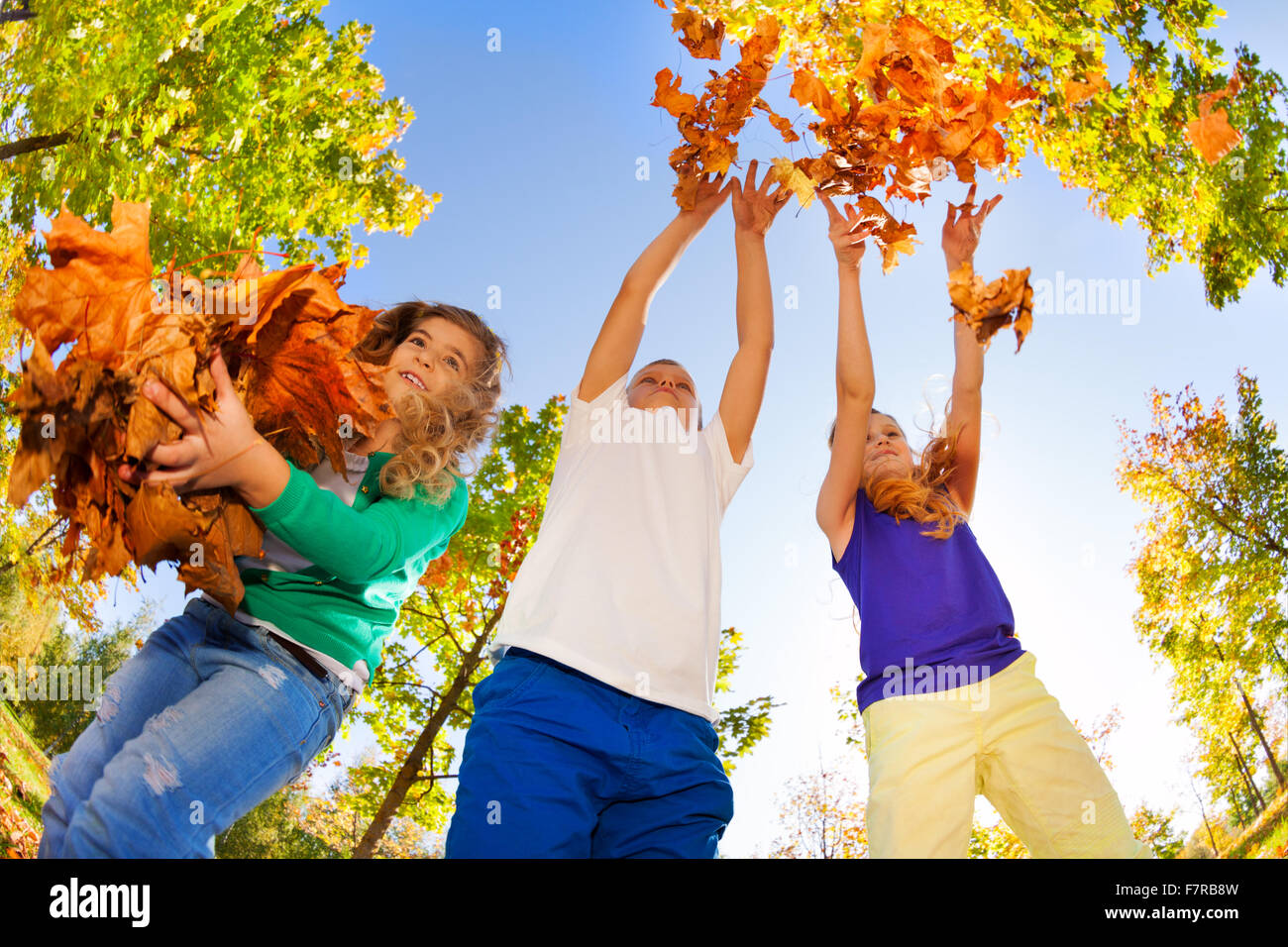 Fish-eye view of friends playing with leaves Stock Photo - Alamy