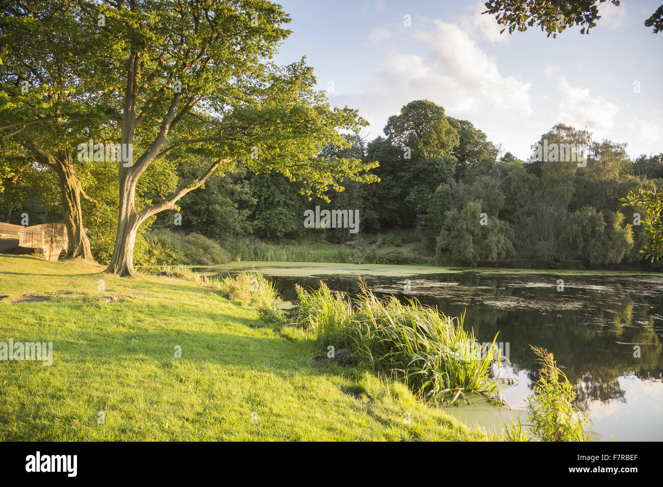 Nostell priory lake hi-res stock photography and images - Alamy