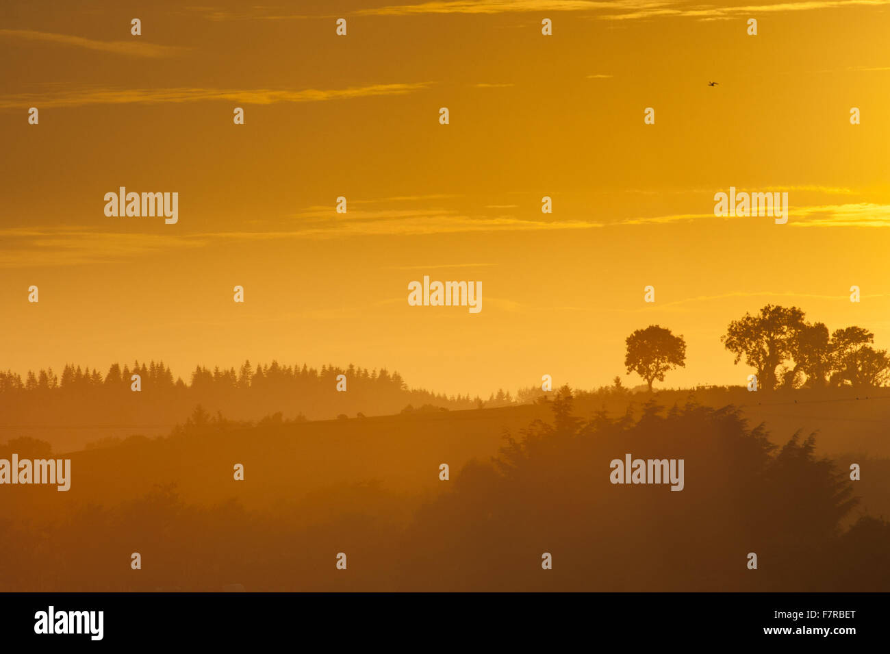 Gibb's island, ireland hi-res stock photography and images - Alamy