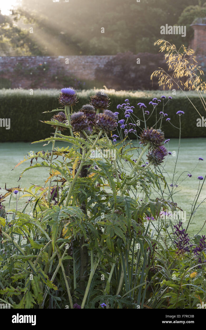 1920s border hi-res stock photography and images - Alamy