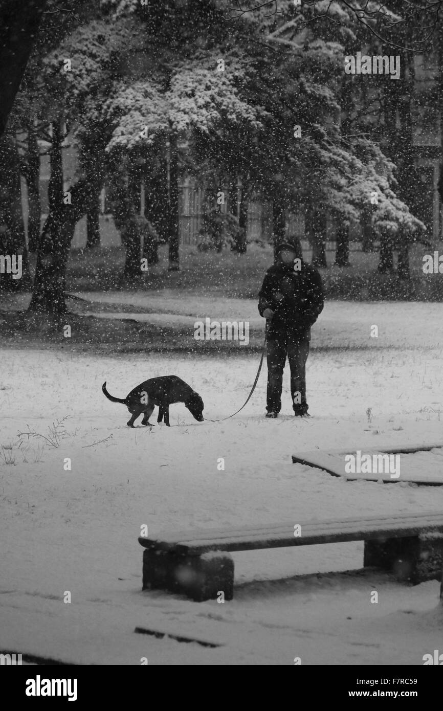 Nose first Black and White Stock Photos & Images - Alamy