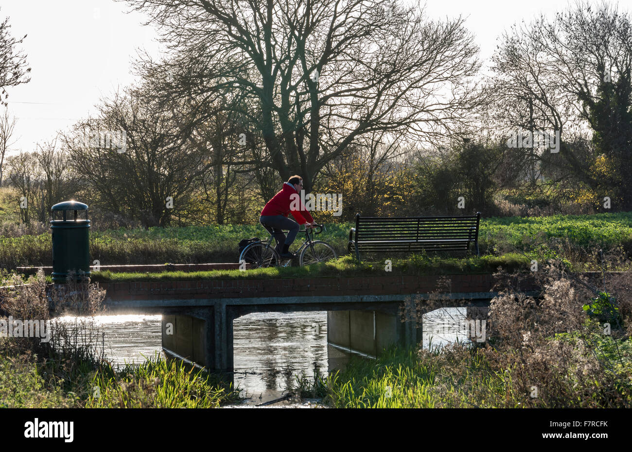 Cyclist on towpath bridge over drainage ditch by river Cam Stock Photo ...