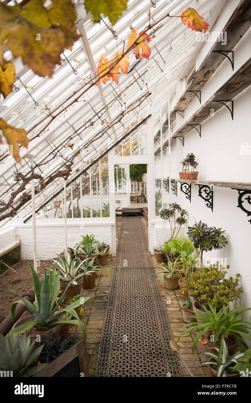 Heligan house lost gardens heligan hi-res stock photography and images ...