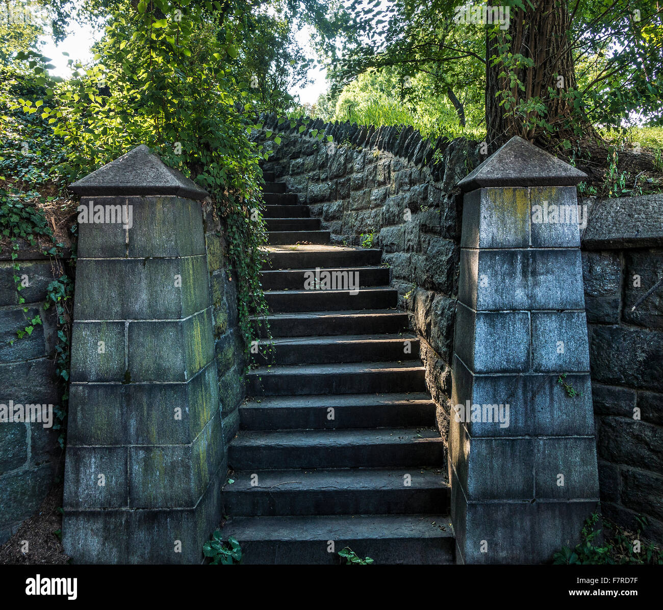 Old stone steps path leading hi-res stock photography and images - Alamy