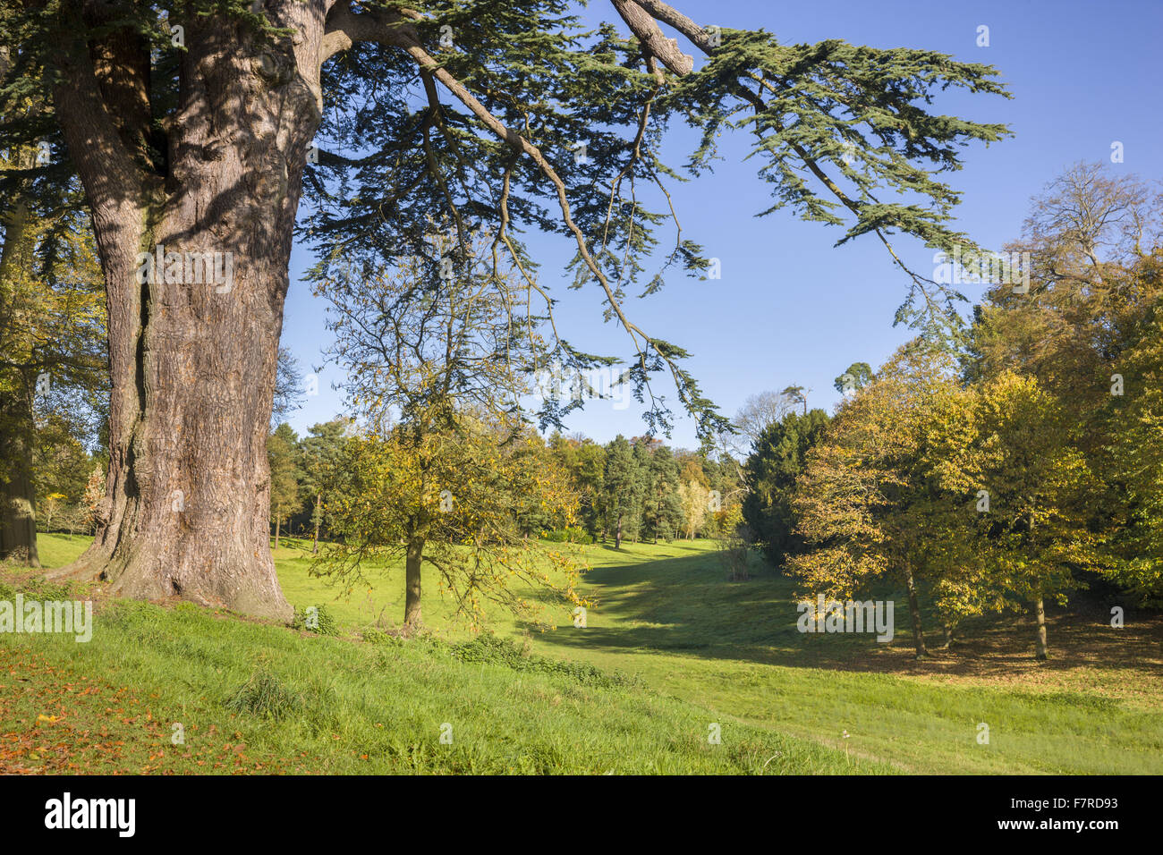The Grecian Valley at Stowe, Buckinghamshire. Stowe is an 18th century ...