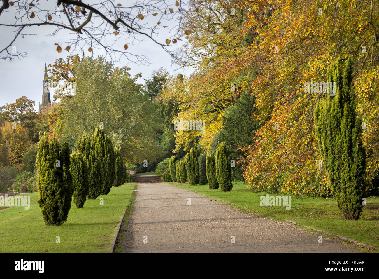 The Pleasure Ground area at Clumber Park, Nottinghamshire Stock Photo ...