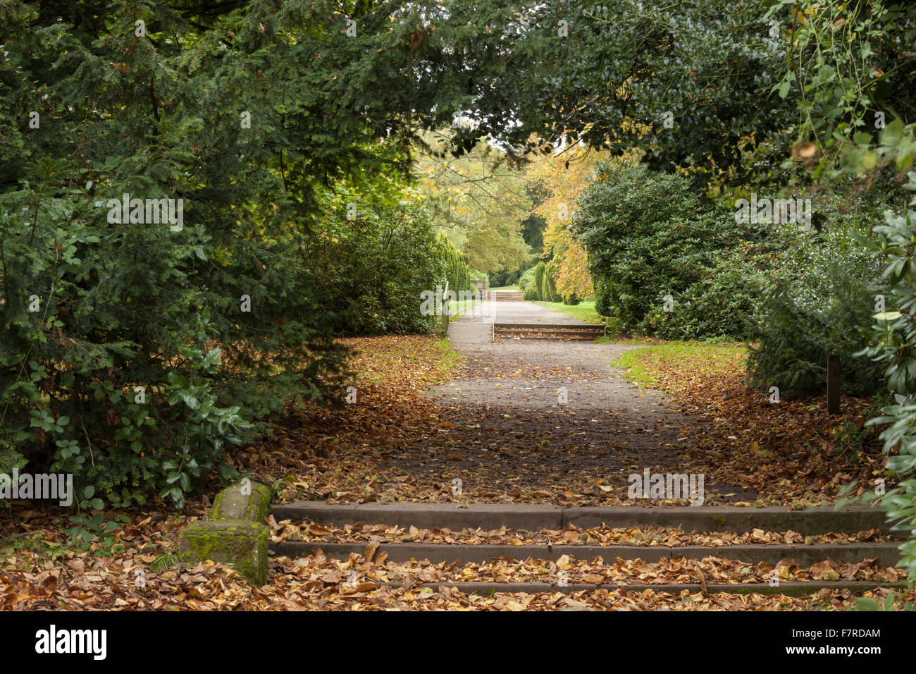 The Pleasure Ground area at Clumber Park, Nottinghamshire Stock Photo ...