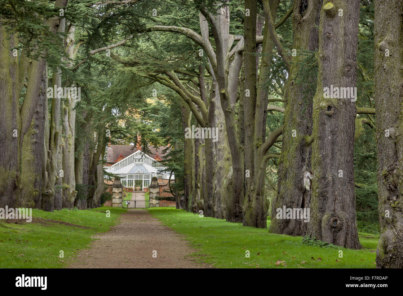 Cedar avenue hi-res stock photography and images - Alamy