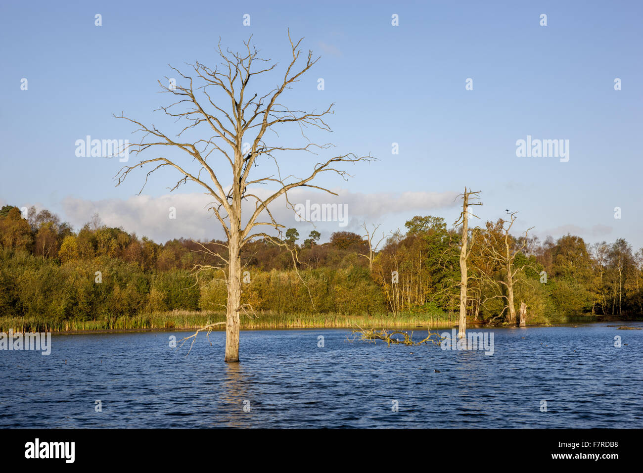 Nottingham lake hi-res stock photography and images - Alamy