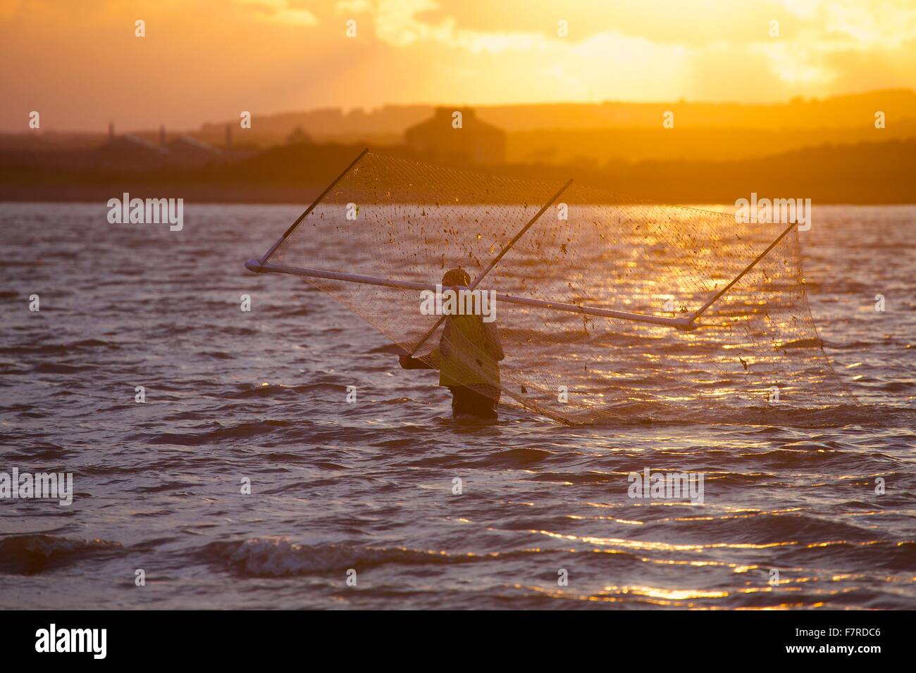 Solway Coast. Haaf Net Fisherman fishing. River Eden Channel. Bownes on ...