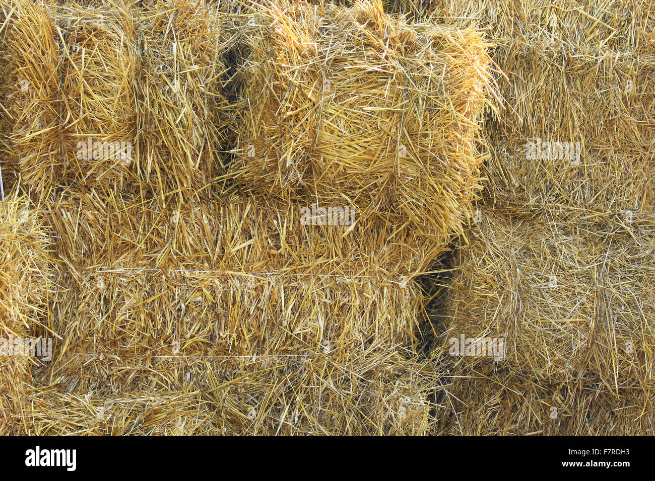 straw stacked in bales in the farm Stock Photo - Alamy