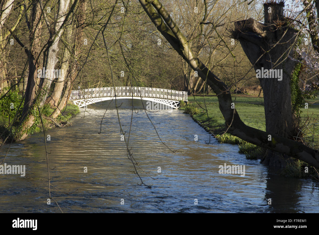 The River Wandle at Morden Hall Park, London, in the winter. Morden ...