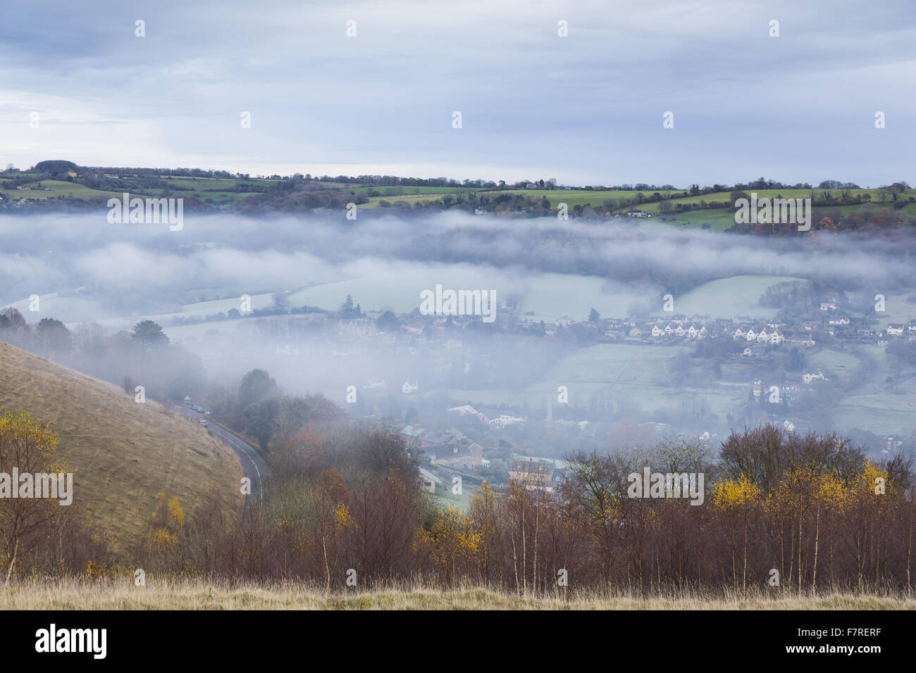 A misty day in November at Rodborough Common, Gloucestershire Stock ...