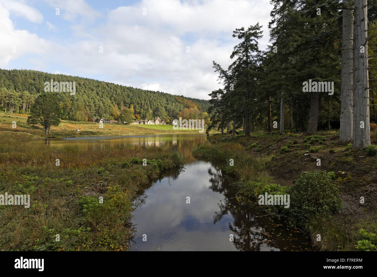 View of the wooded banks of Tumbleton Lake, with the stable block seen ...
