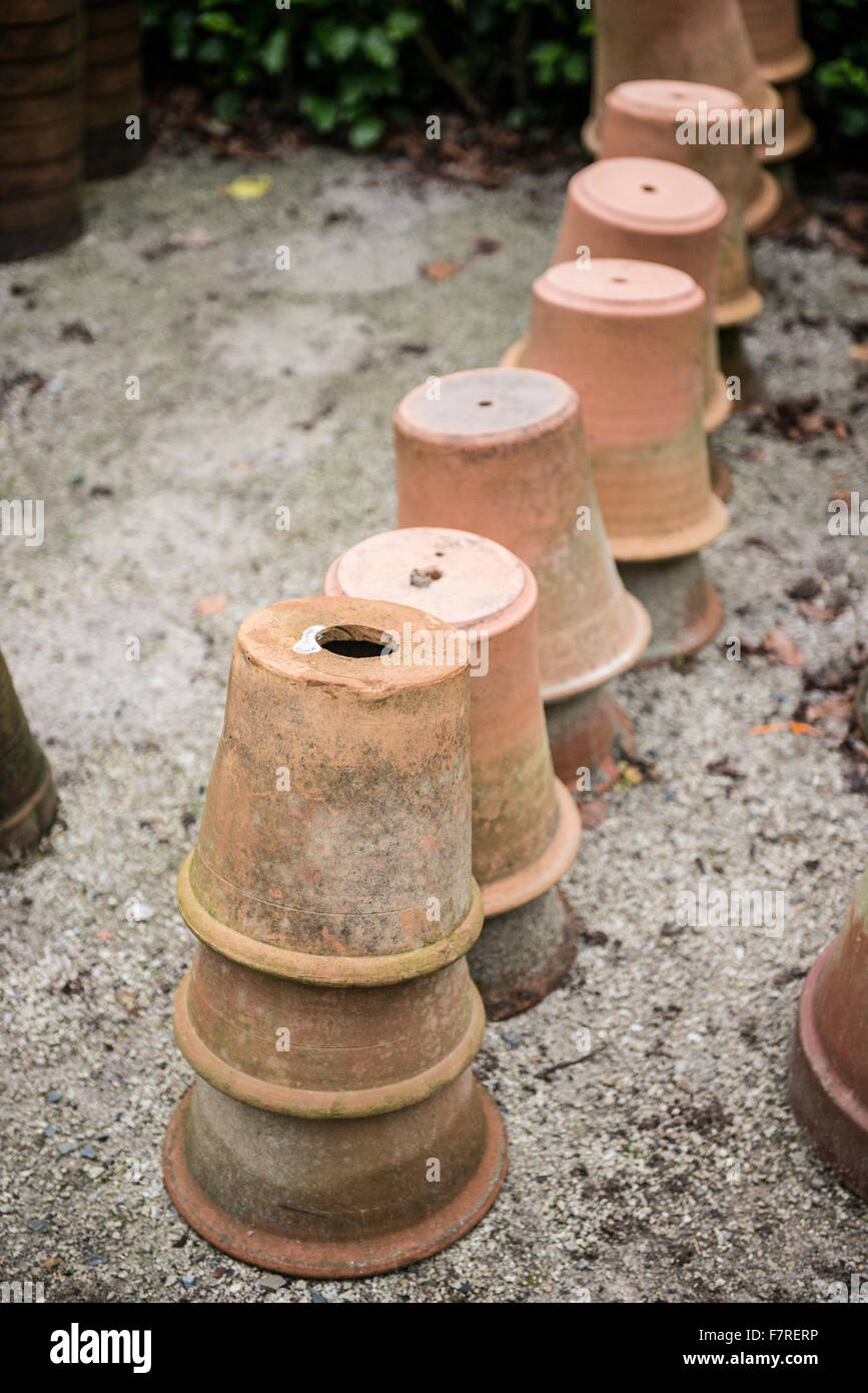 A row of plant pots Stock Photo - Alamy