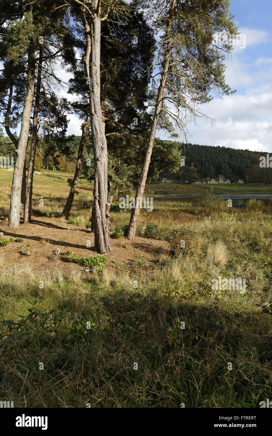 Tumbleton lake hi-res stock photography and images - Alamy
