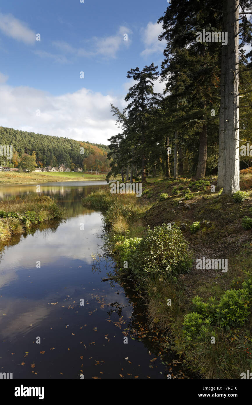View of the wooded banks of Tumbleton Lake, with the stable block seen ...