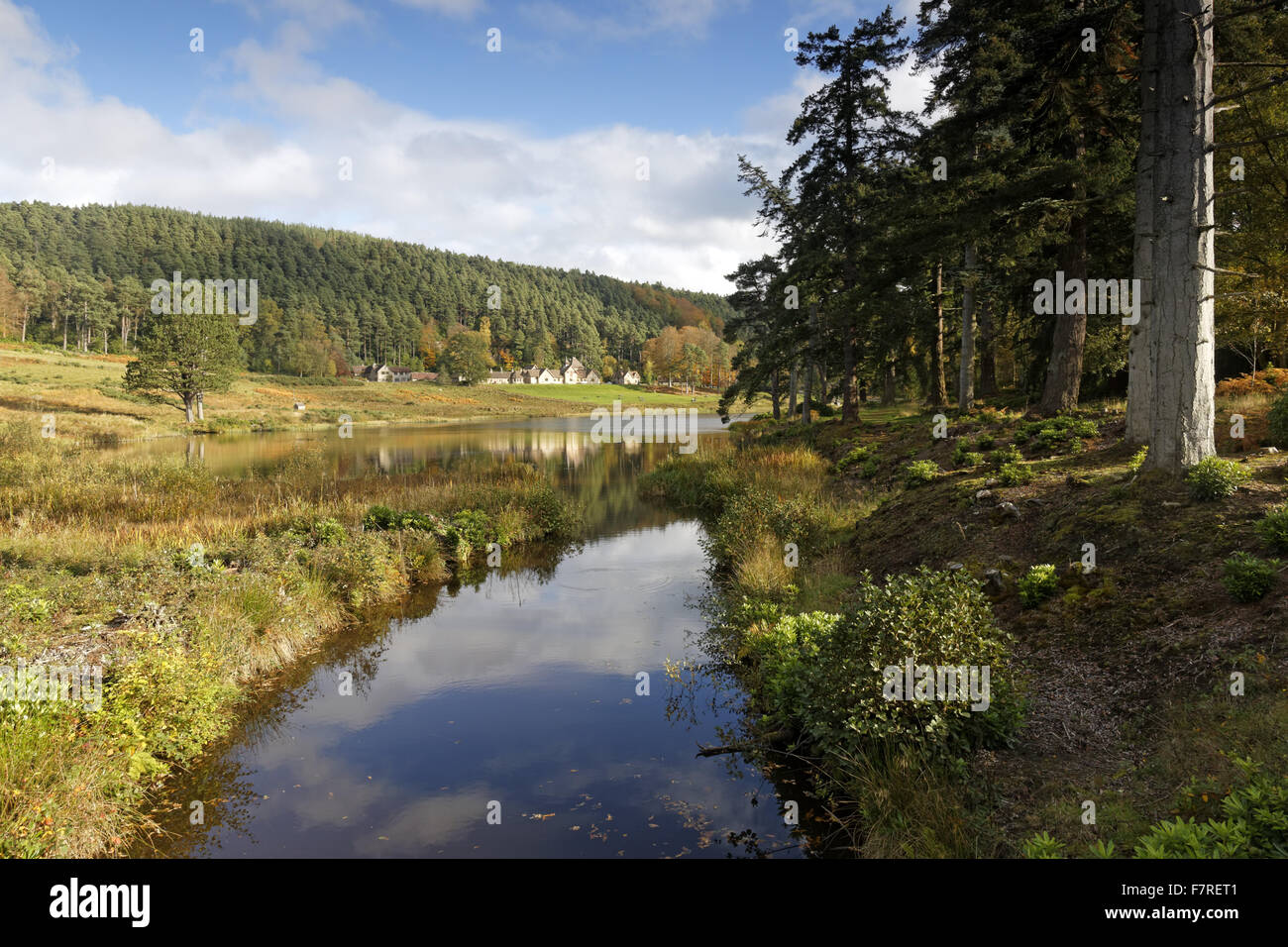 View of the wooded banks of Tumbleton Lake, with the stable block seen ...