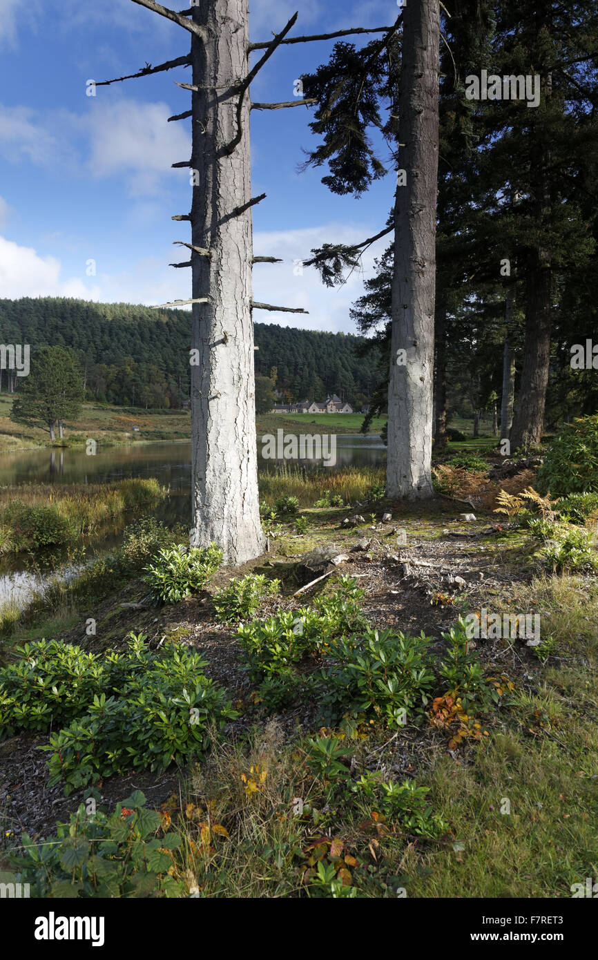 Tumbleton lake hi-res stock photography and images - Alamy