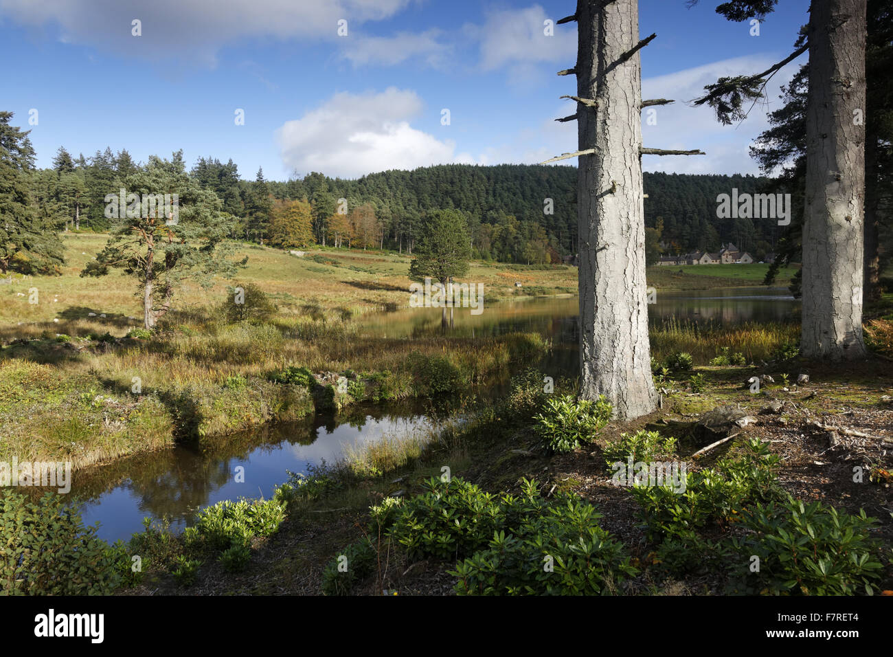 Tumbleton lake hi-res stock photography and images - Alamy
