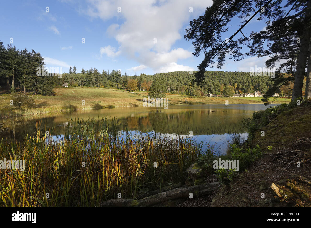 Tumbleton lake hi-res stock photography and images - Alamy
