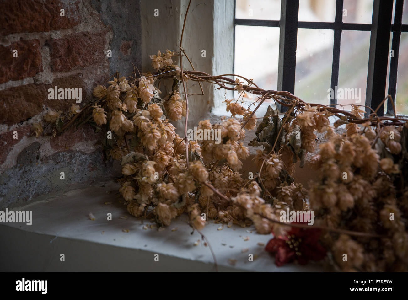 Eastbury manor house hi-res stock photography and images - Alamy