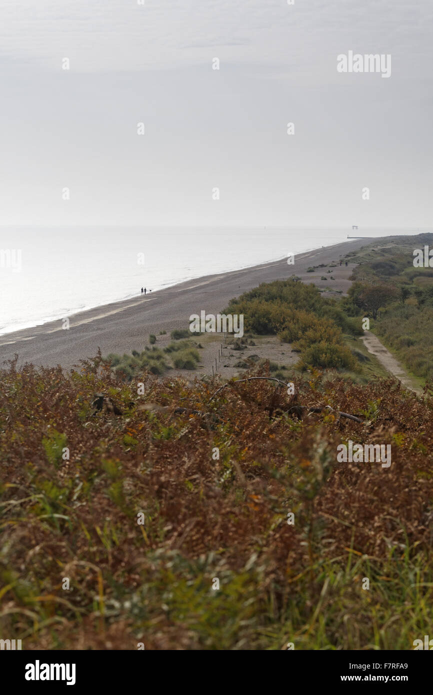 Dunwich Heath and Beach, Suffolk. Dunwich Heath is in an Area of ...