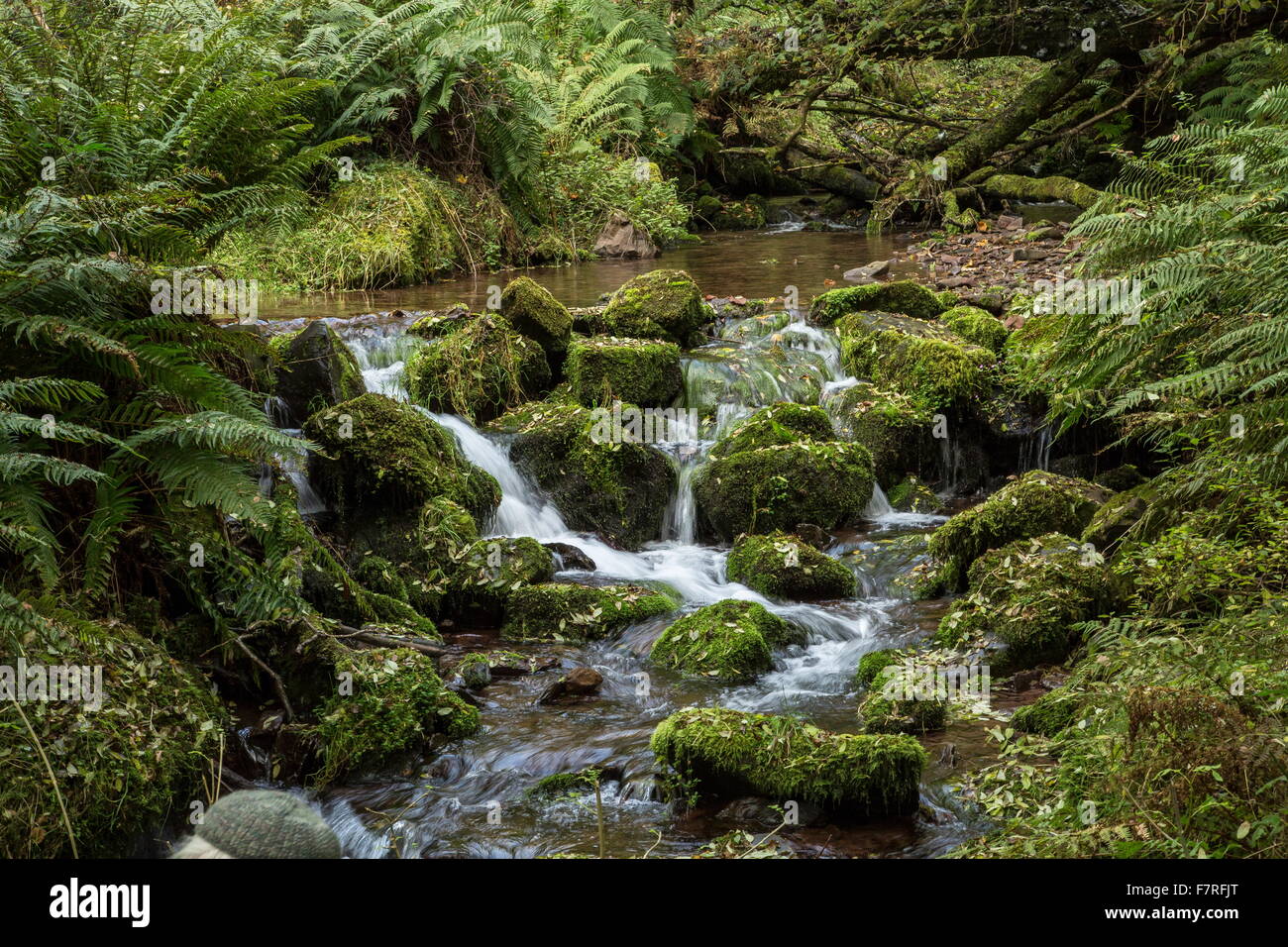 Exmoor stream in autumn - East Water, Horner Valley. Somerset Stock ...