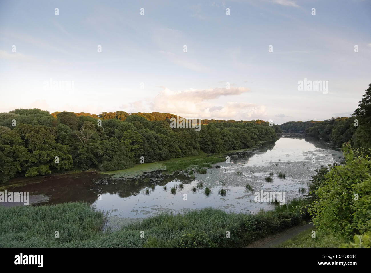 The view across Bosherston Lakes (Bosherston Lily Ponds), Stackpole ...