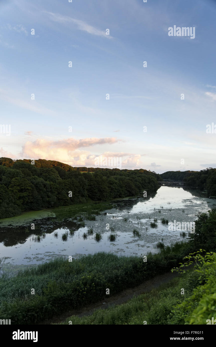The view across Bosherston Lakes (Bosherston Lily Ponds), Stackpole ...