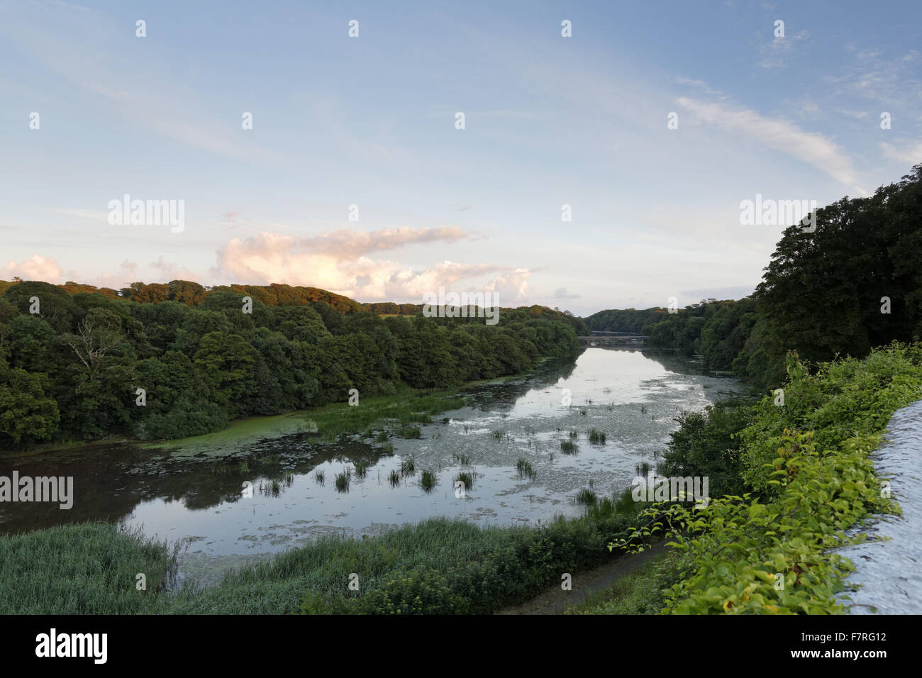The view across Bosherston Lakes (Bosherston Lily Ponds), Stackpole ...