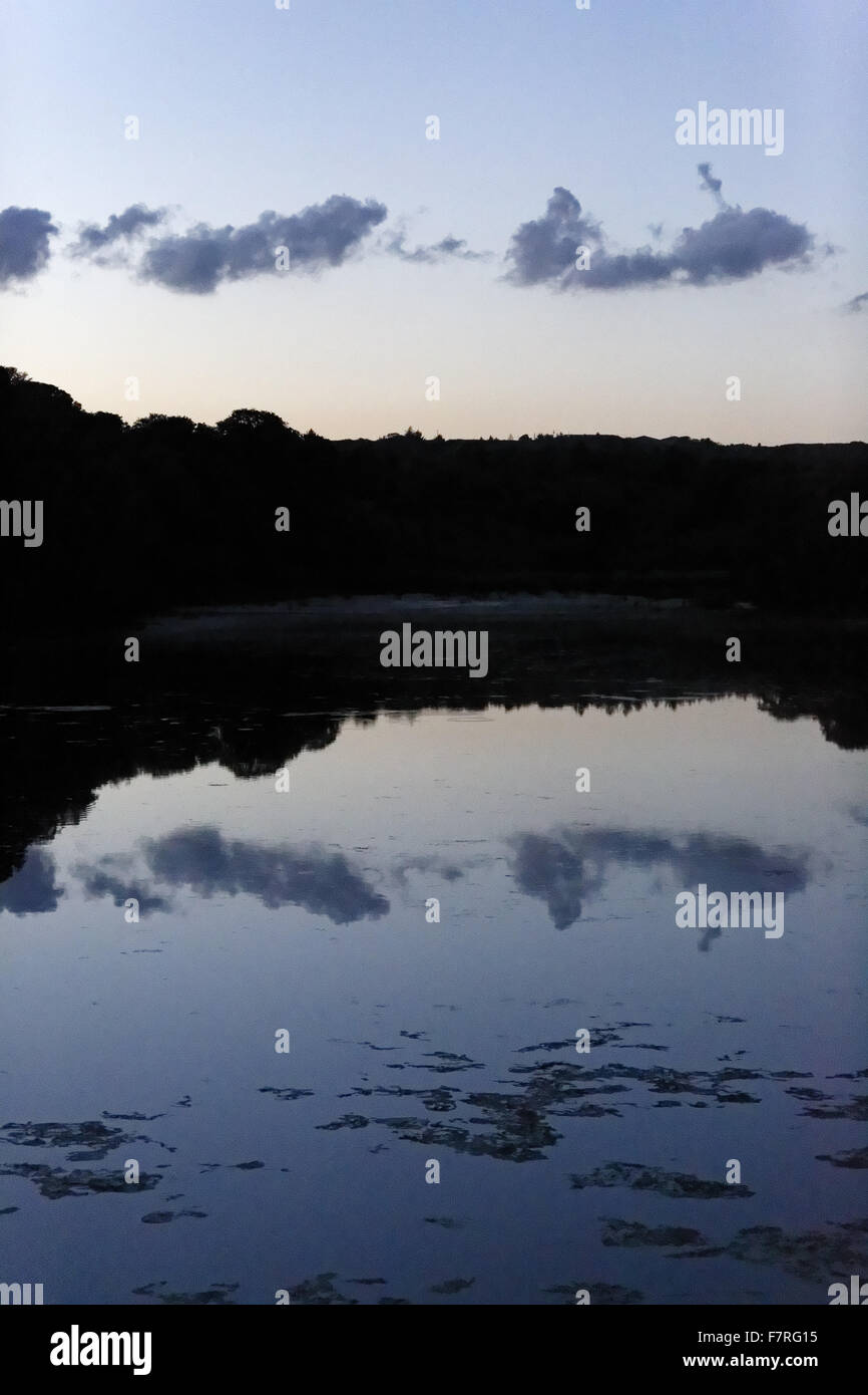 Reflections in the glassy waters of Bosherston Lakes (Bosherston Lily ...