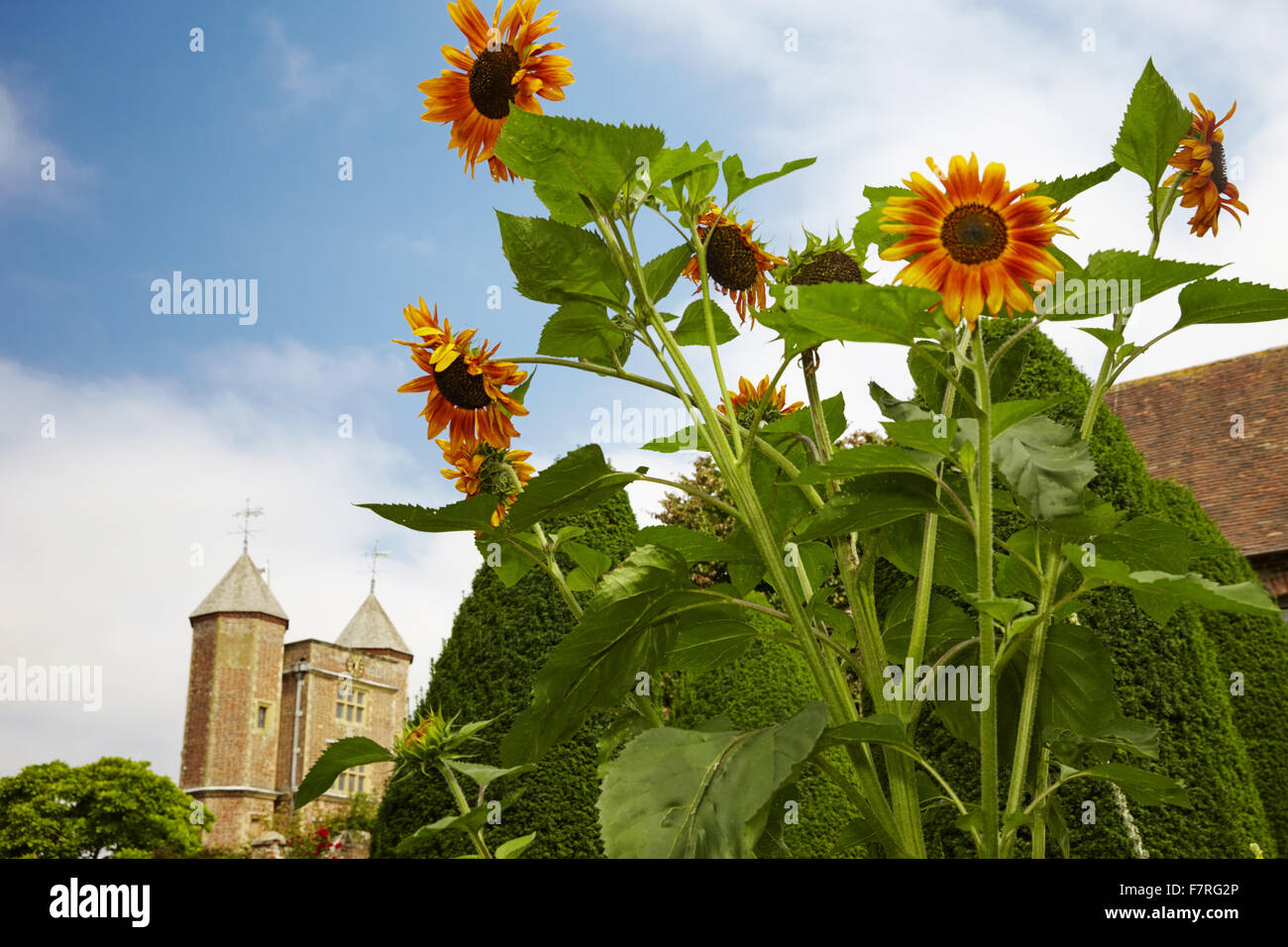 The autumn at Sissinghurst Castle Garden, Kent. Sissinghurst has a ...