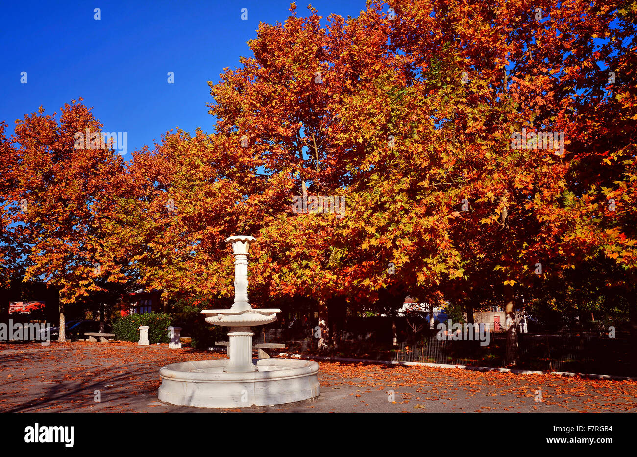 Autumn landscape in park with fountain in Greece Stock Photo - Alamy