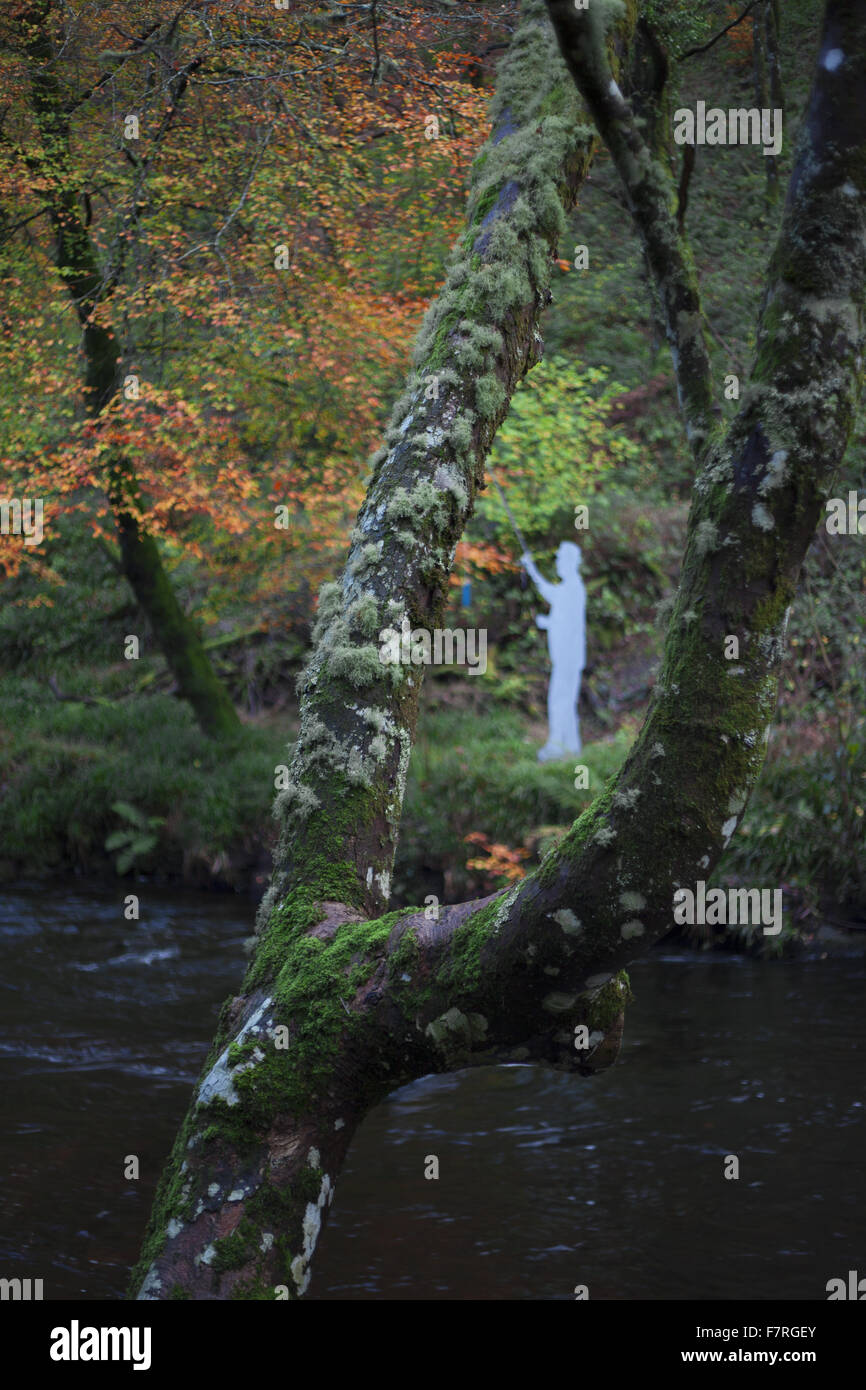 Fingle Woods, Drewsteignton, Devon Stock Photo - Alamy
