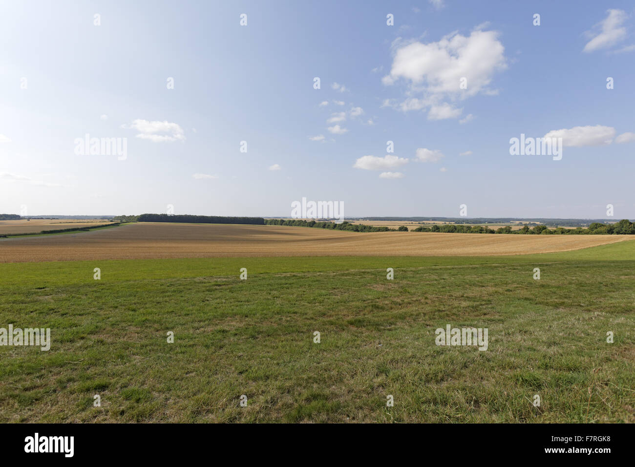 Kingston Lacy, Dorset. Kingston Lacy was the home of the Bankes family ...
